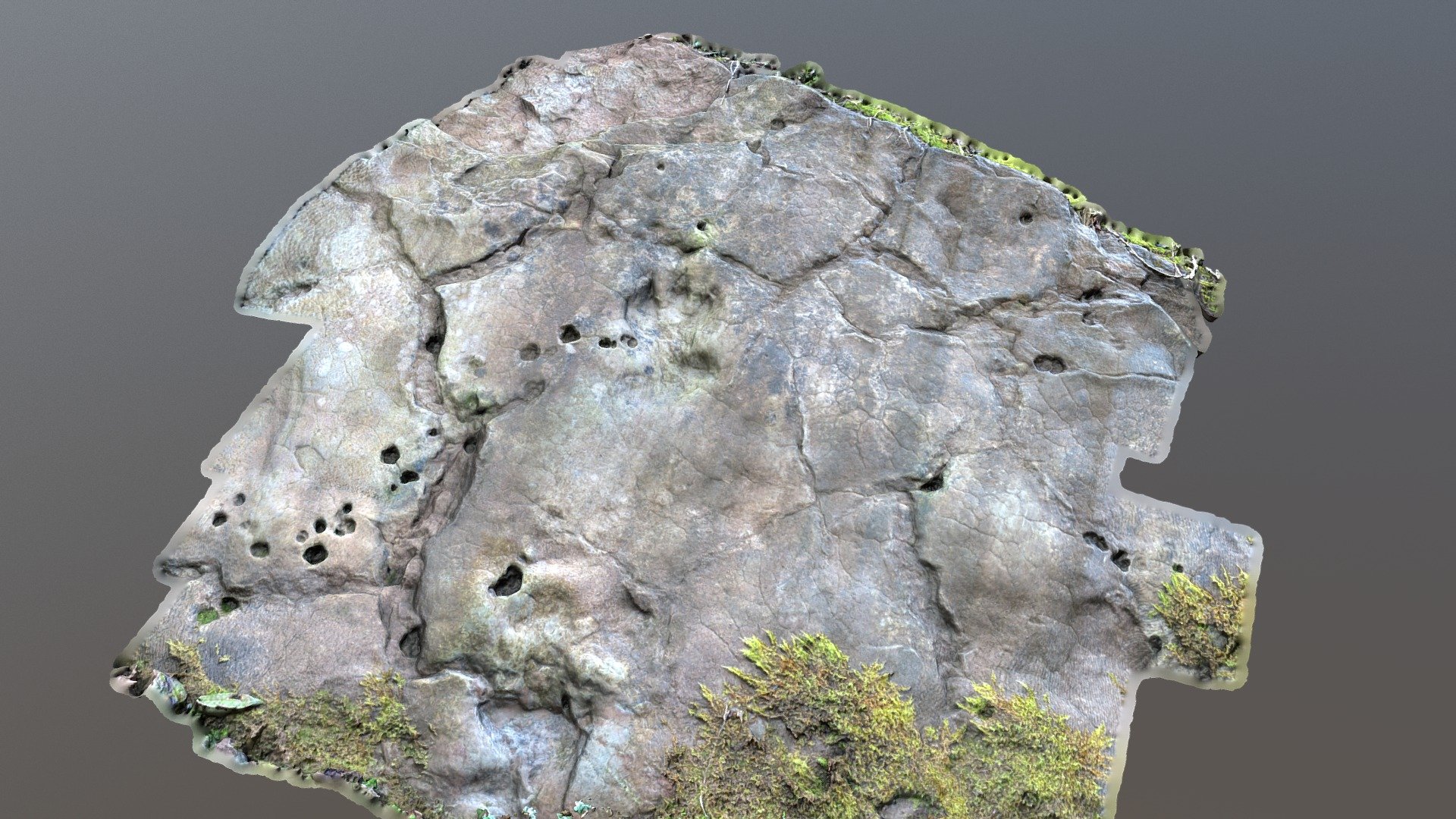 Arran Track1 Footprint of Chirotherium - 3D model by ARThompson ...