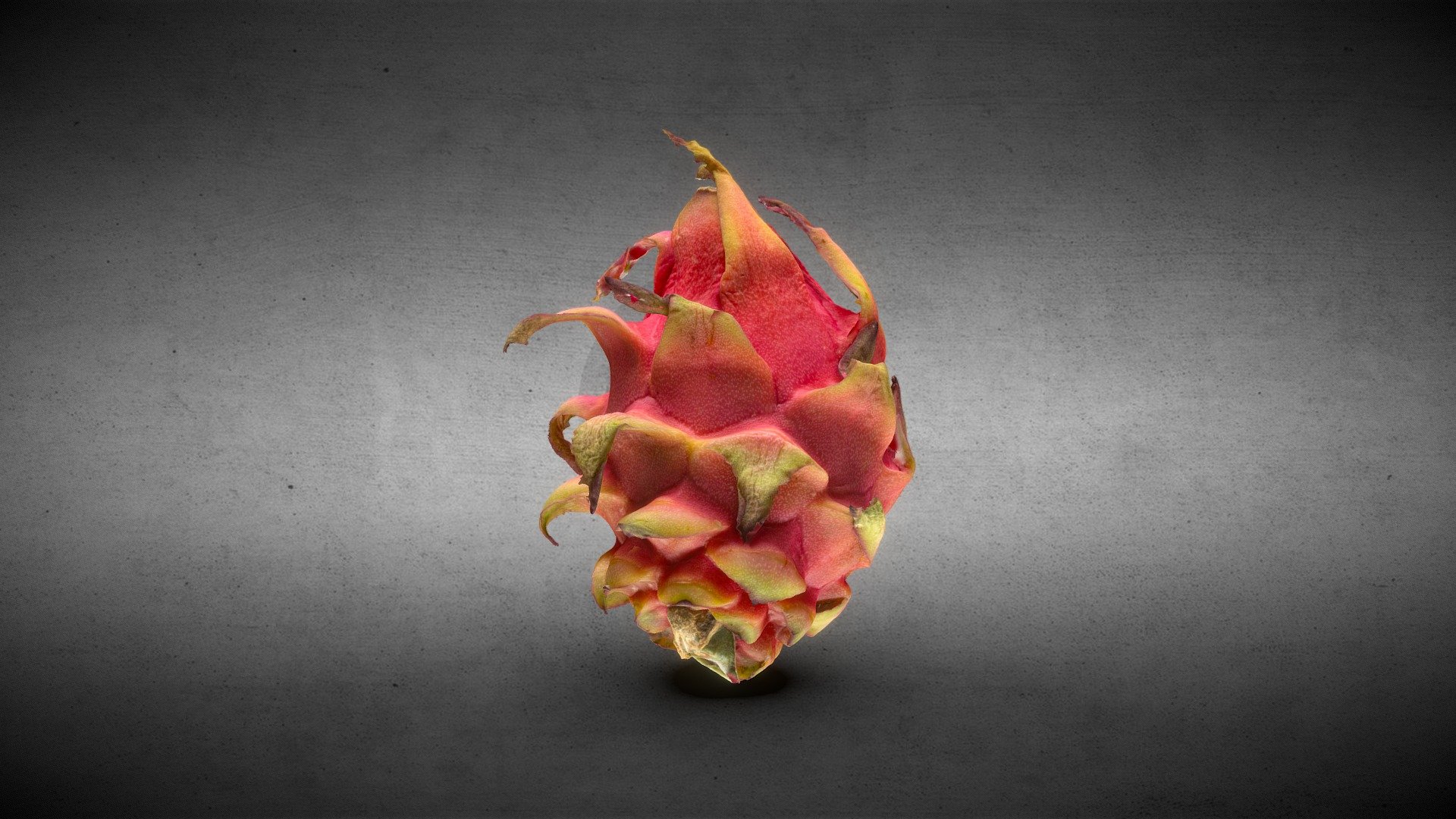 Pitaya - Photogrammetry - Download Free 3D model by Moshe Caine ...