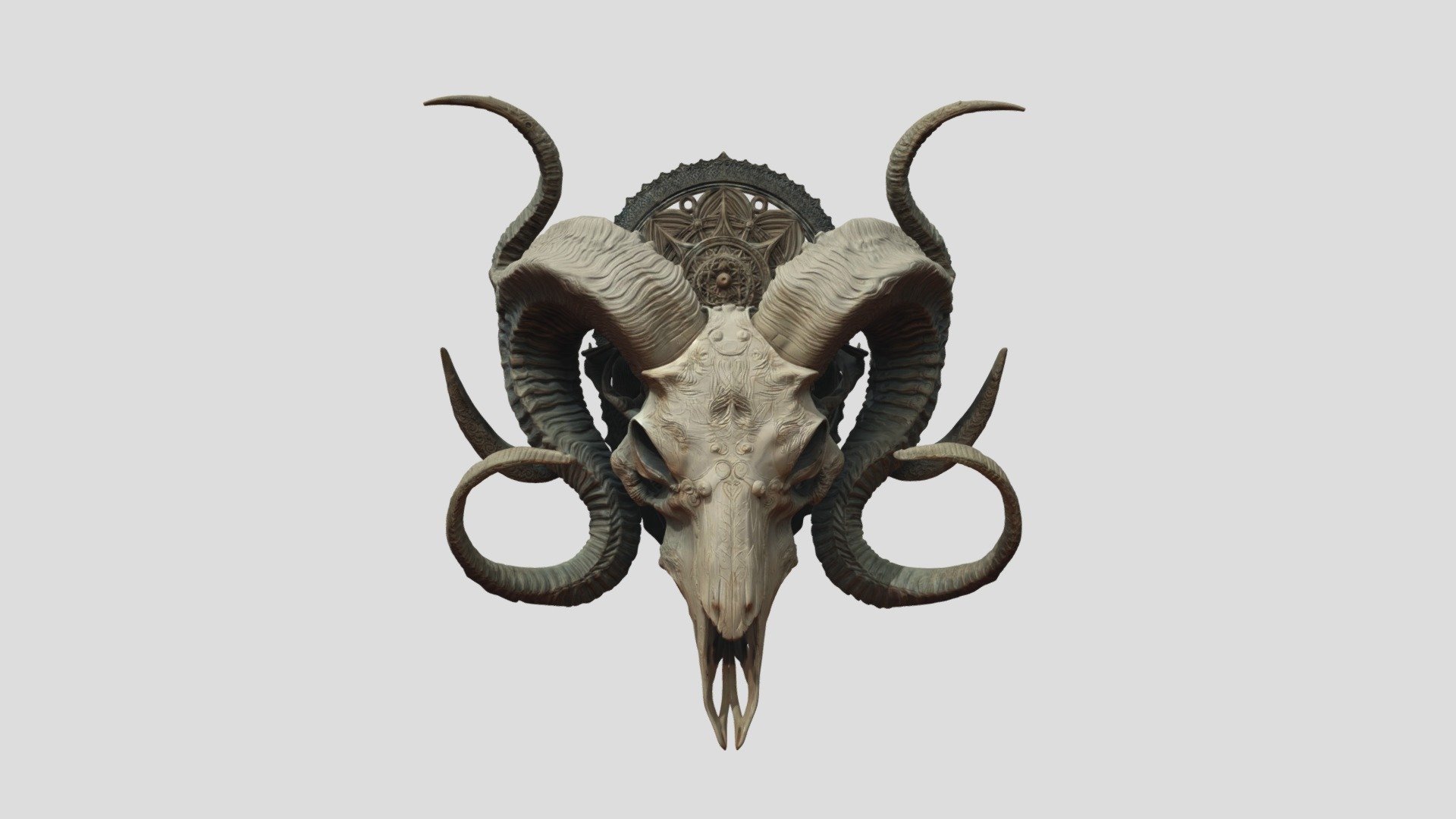 Ram Skull - Download Free 3D model by Michael Bastianelli ...