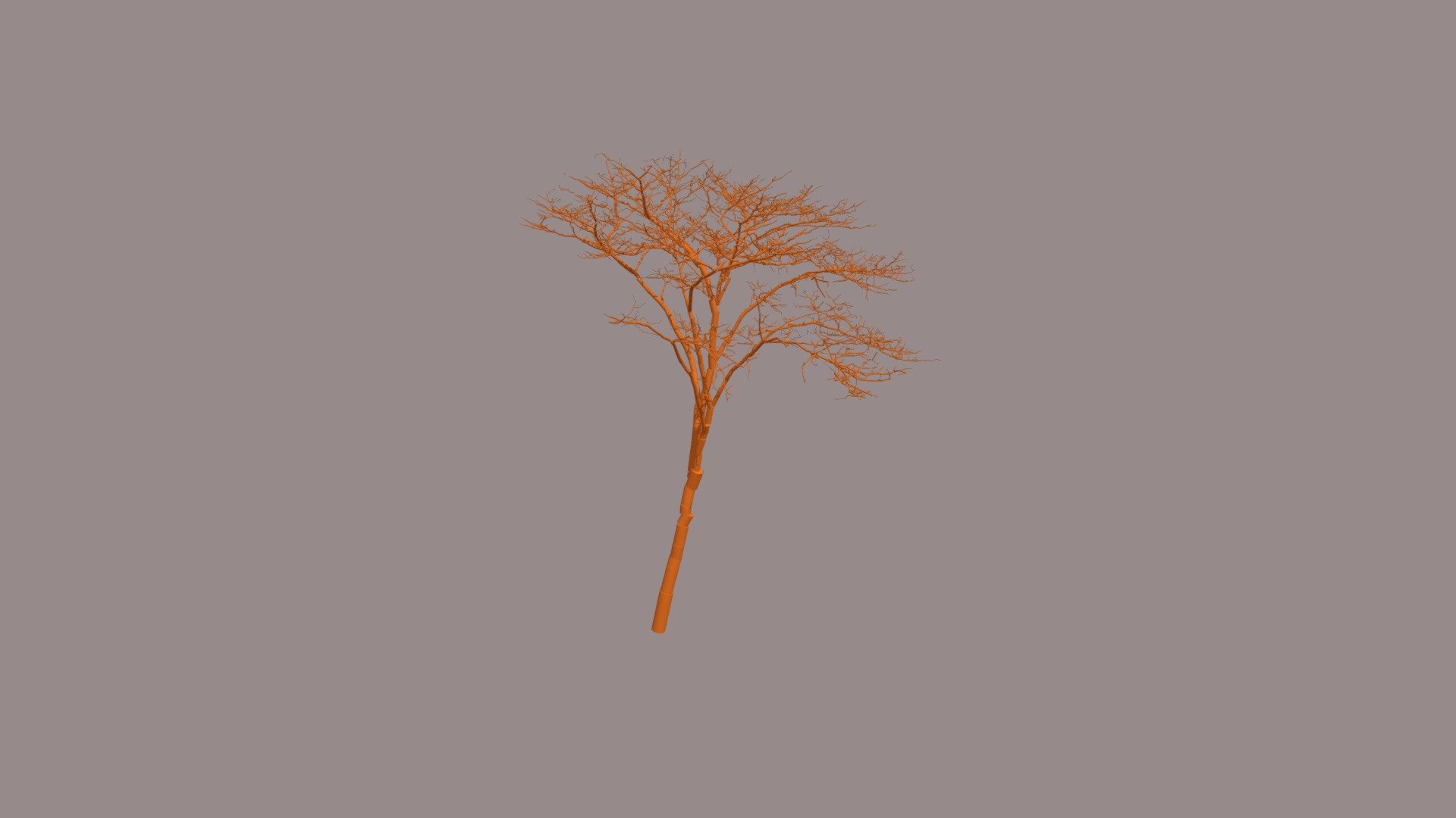 Balsa tree cylinder model - 3D model by mirodemol [3cac686] - Sketchfab