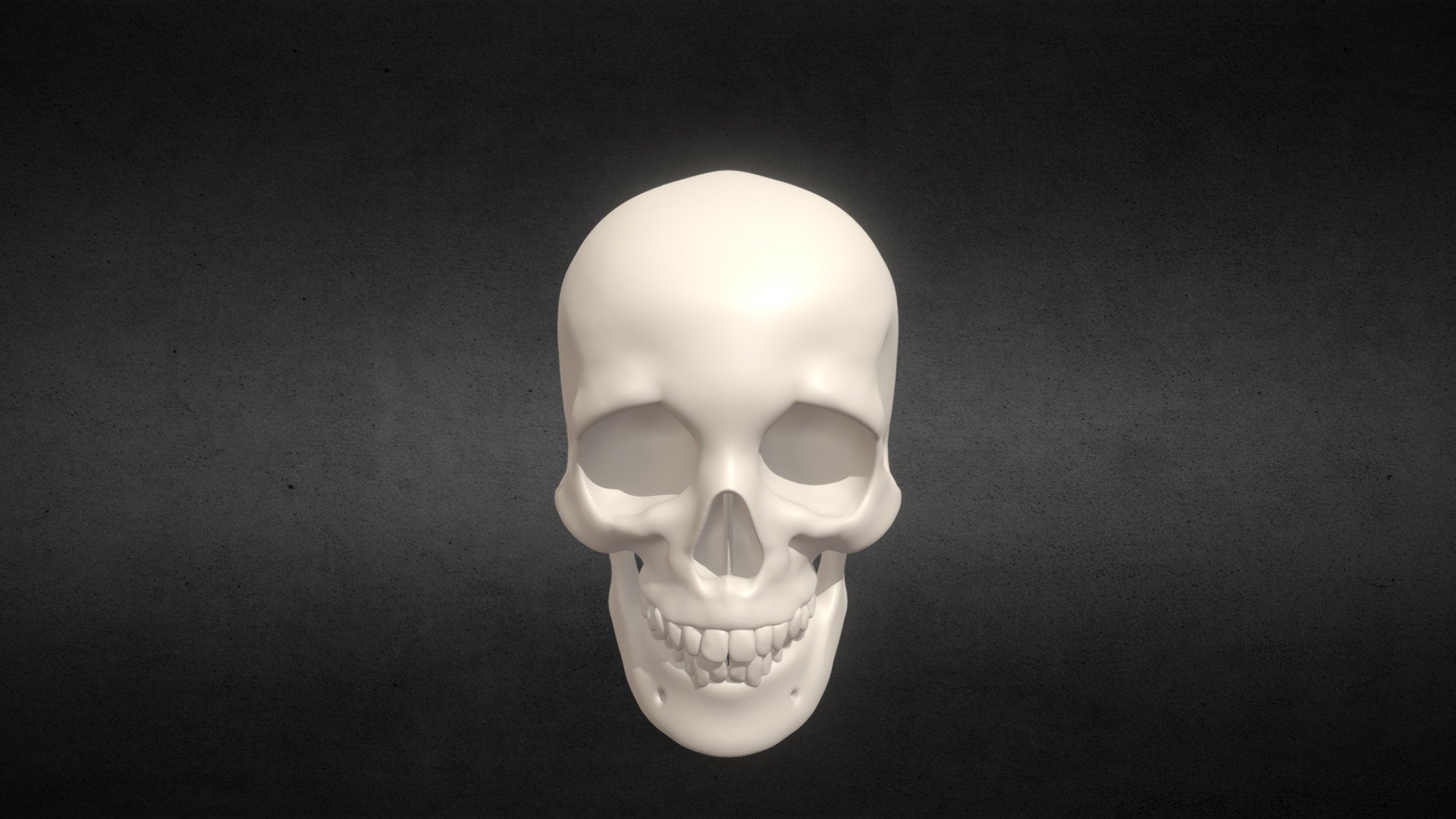 Skull - 3D model by Joshua Scoles (@Bubblebub15) [3cae337] - Sketchfab
