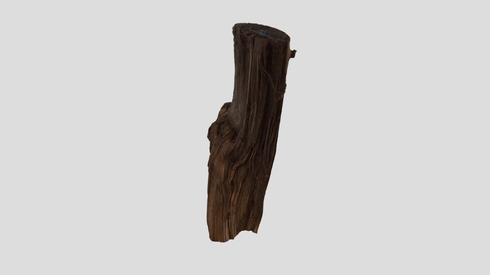 Log - 3D model by aalleexx [3cb16fd] - Sketchfab
