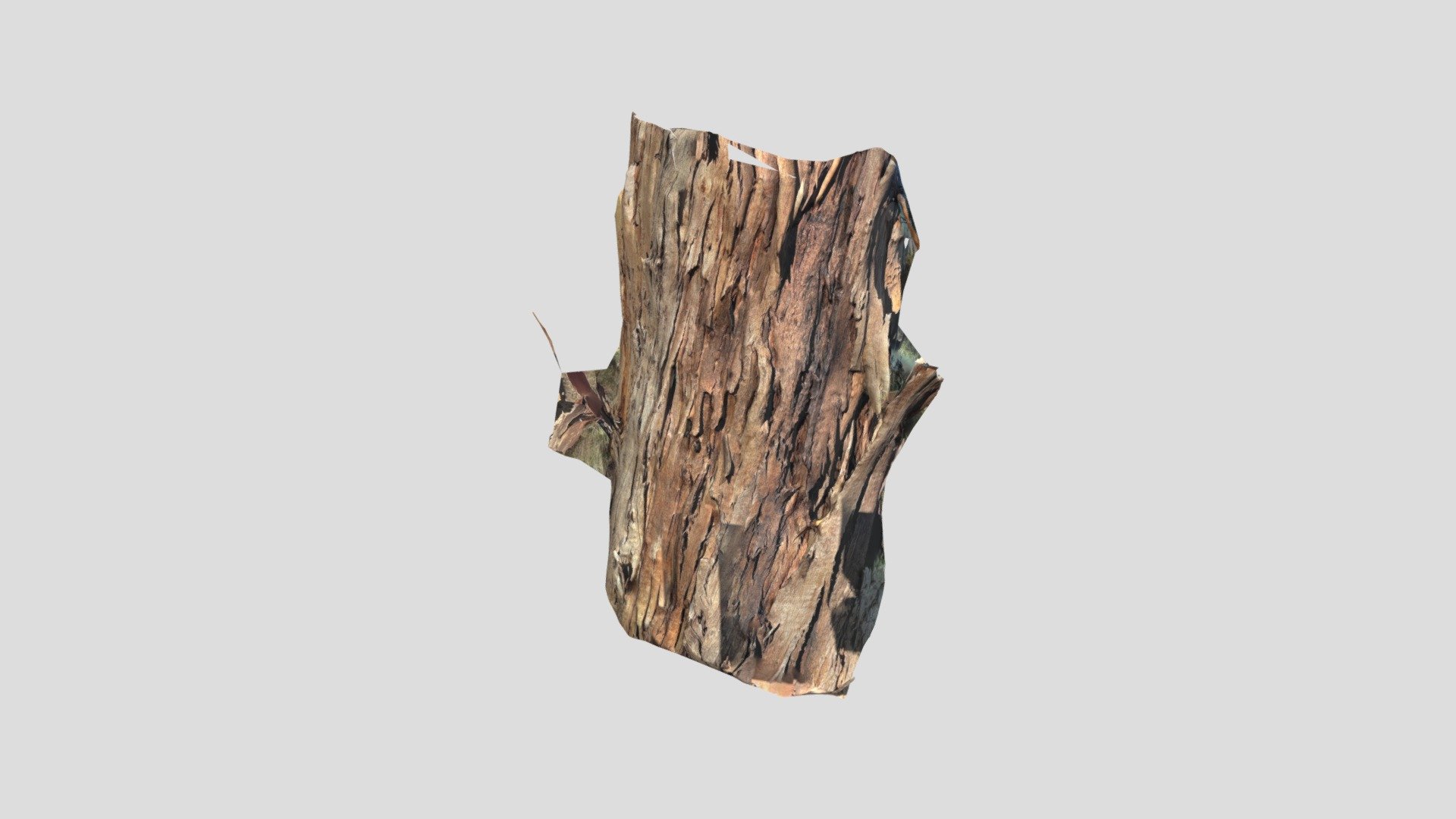 Eucalyptus tree bark - 3D model by Sim M. Reaney (@simreaney) [3cb3aa6 ...