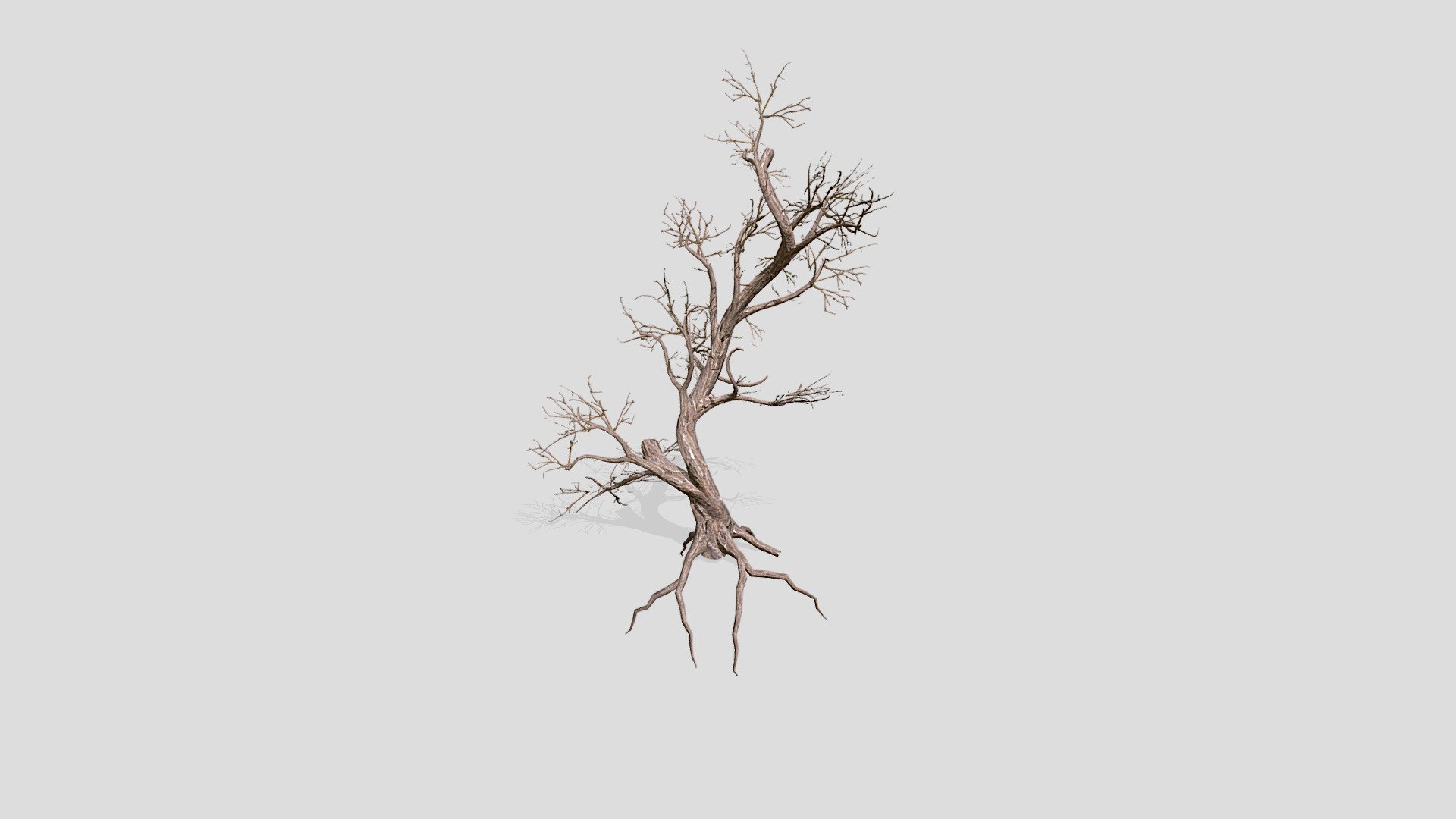 Old tree - Download Free 3D model by evolveduk [3cb4d59] - Sketchfab