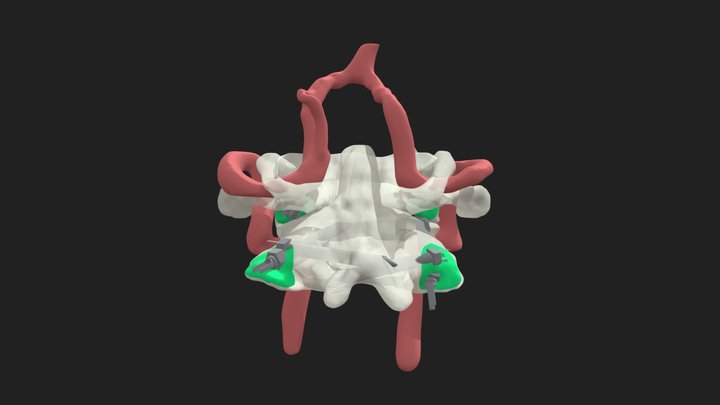 Vertebrae 3D models - Sketchfab
