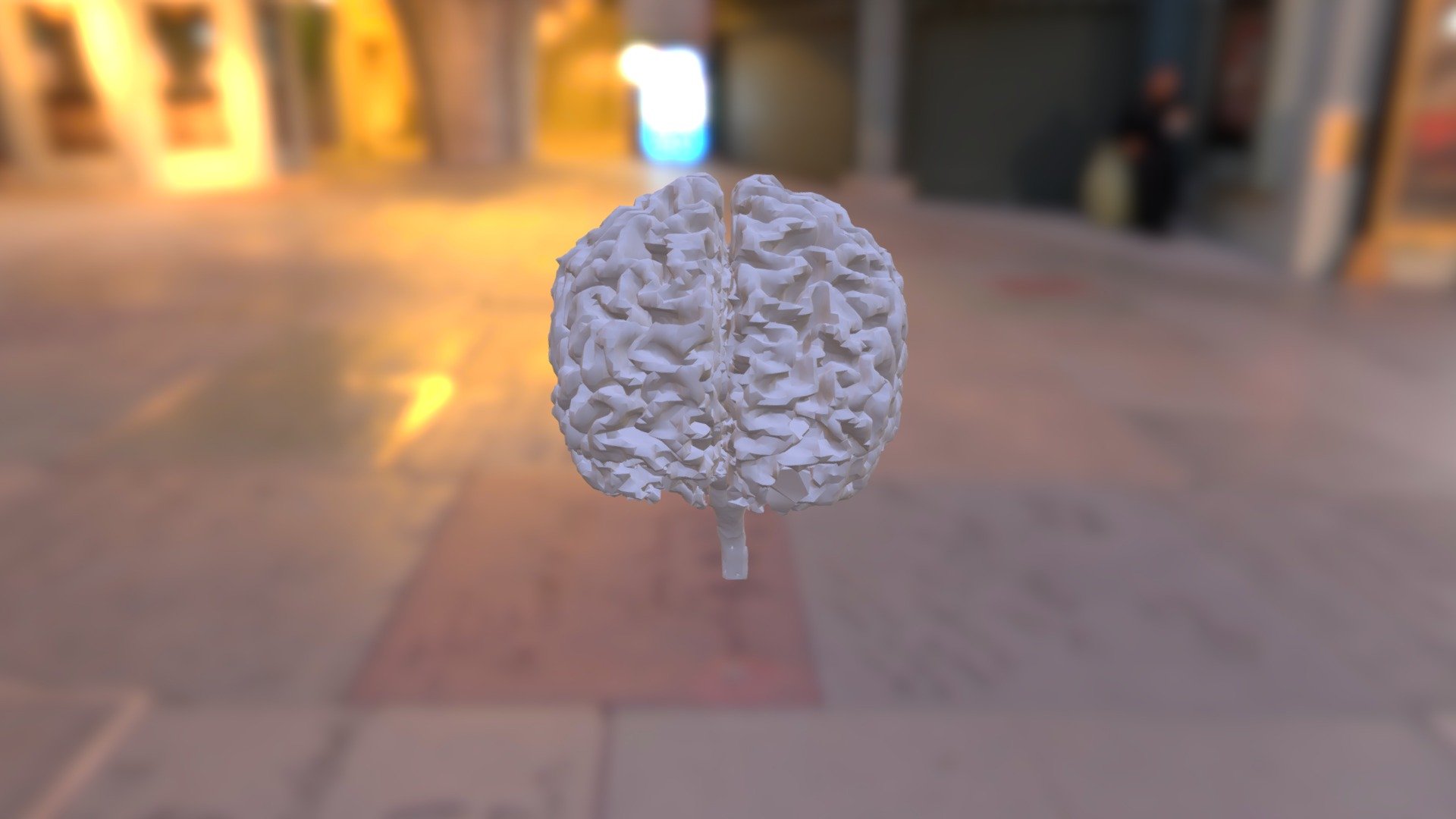 Brain from MRI - 3D model by kelkka [3cc91b9] - Sketchfab