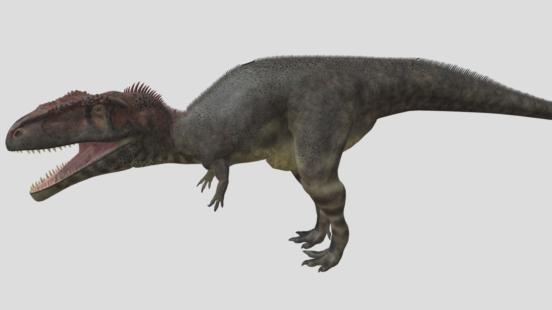 mapusaurus - Download Free 3D model by seth the yutyrannus ...