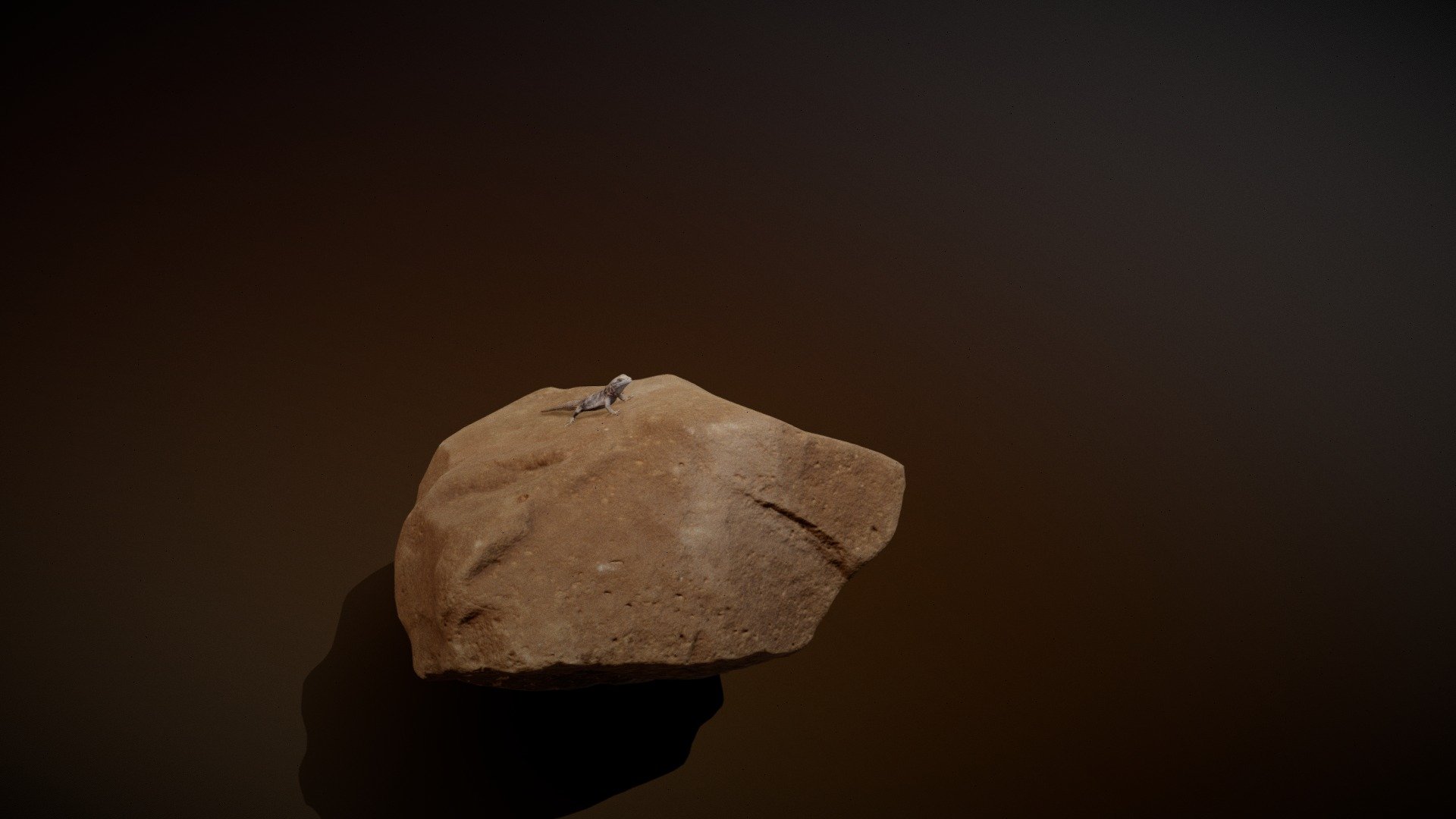 Oplurus cyclurus - 3D model by ManyMany Creations (@manymany) [3cd083a ...