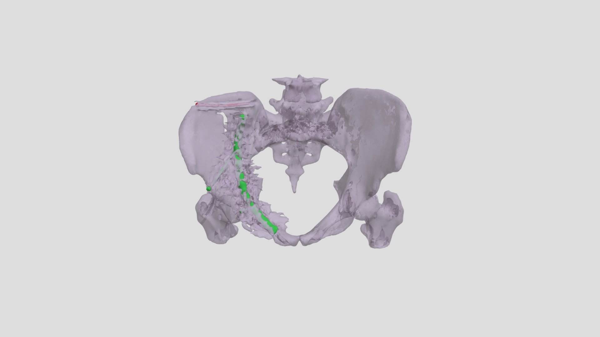 AlmanzaL Segmentation - 3D model by Luis Almanza (@almanzlu) [3cd25fb ...