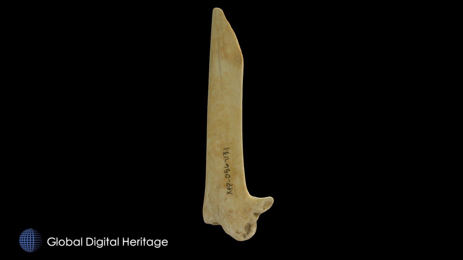 XFP-056 Albatross Bone Tool, Sanak Island, Ak - Download Free 3D model ...