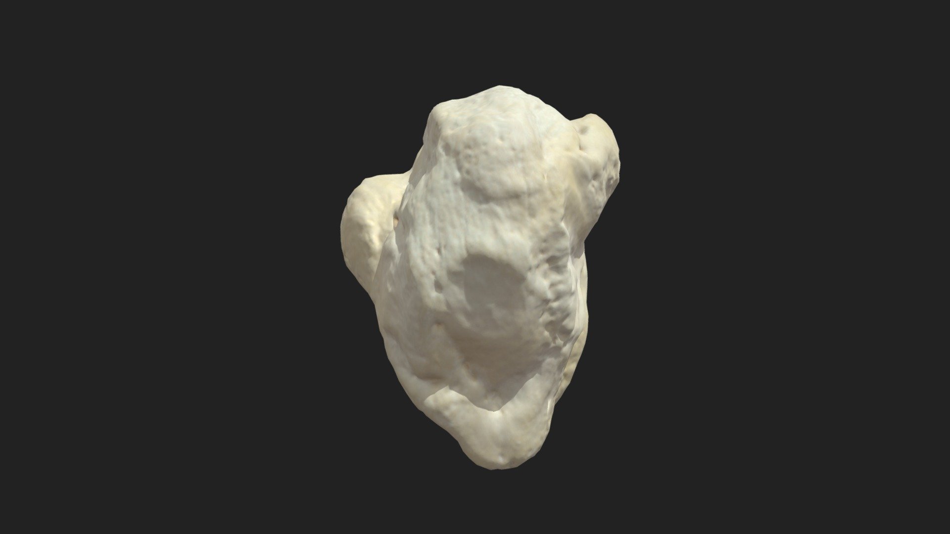 kneecap (patella) cow 2 - Download Free 3D model by vetanatMunich ...