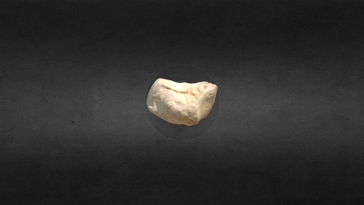 Capitate 3D models - Sketchfab
