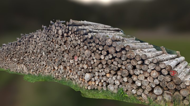Pile 3D models - Sketchfab