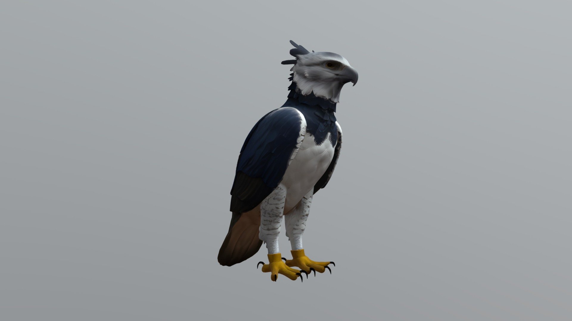Harpy Eagle - Download Free 3D model by G-Box (@gabszf) [3ced481 ...