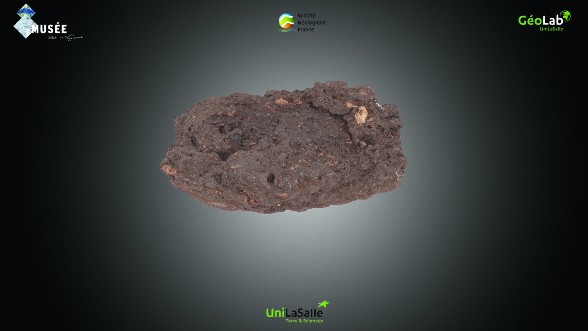 Roche - Tourbe - Download Free 3D model by Société Géologique de France ...