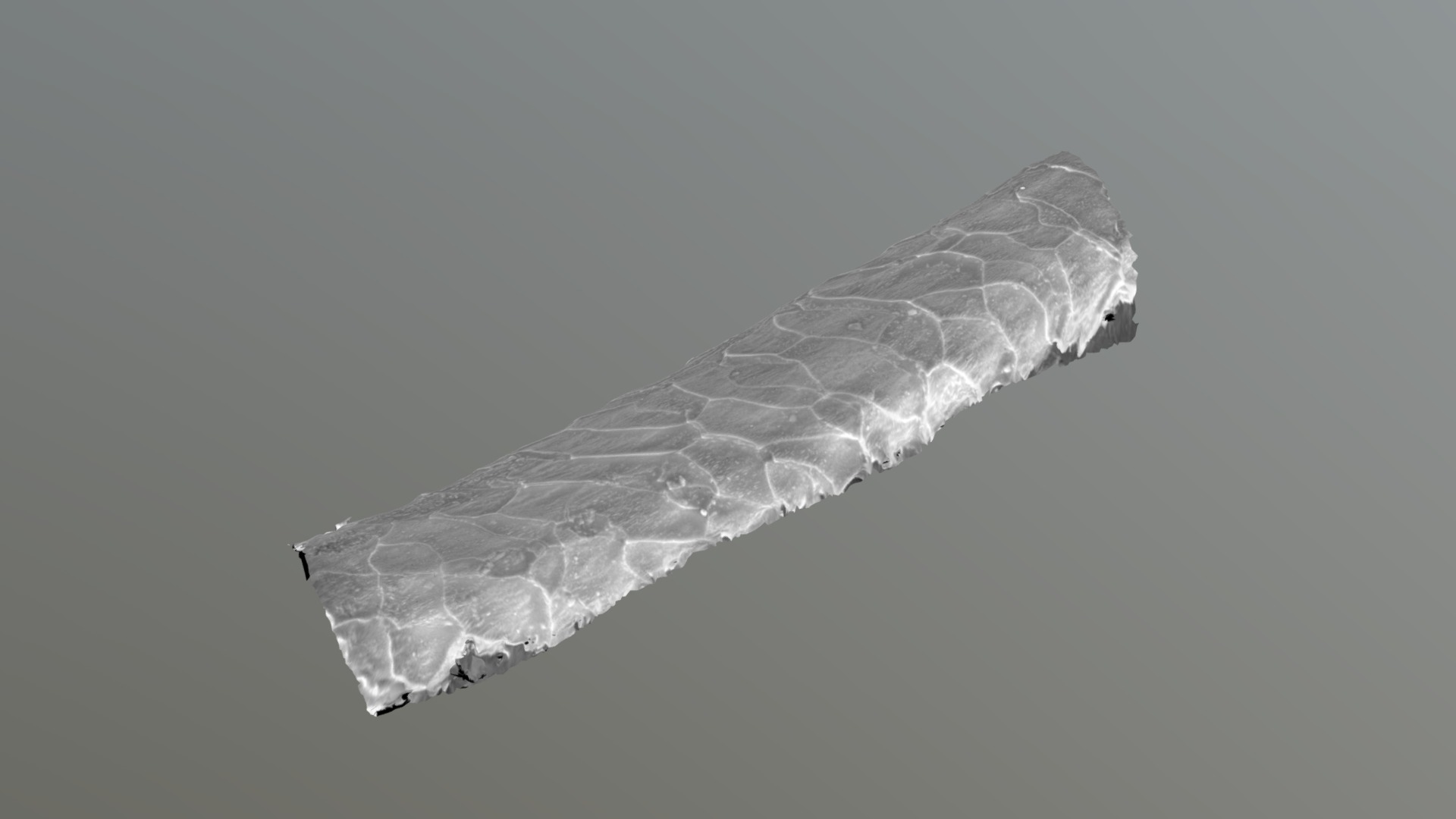 Volneno vlakno - 3D model by Marko Vrabec (@okram) [3cf56bc] - Sketchfab