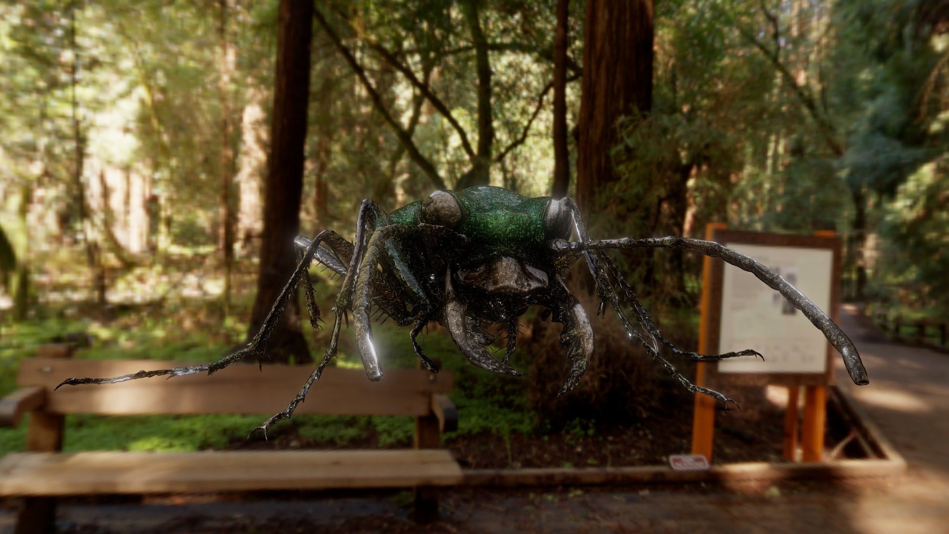 Cicindela Campestris - 3D model by ArachnoBoy (@vang807) [3cf6c66 ...