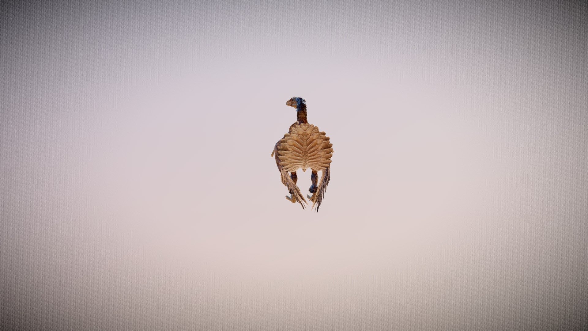 Archaeopteryx - 3D model by Vida Systems (@objects1) [3cf842b] - Sketchfab