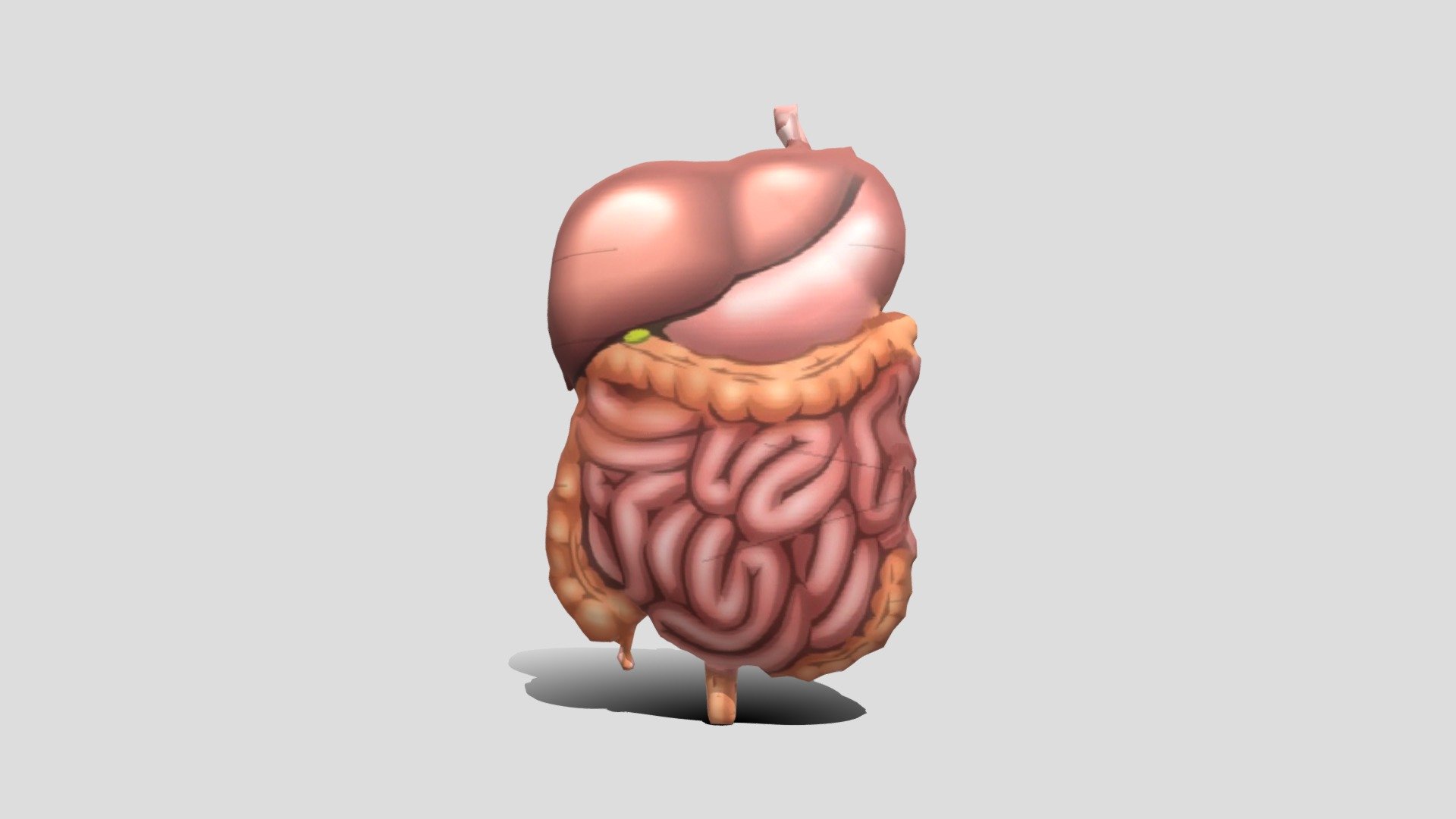 usus SABRINA - 3D model by sabrinamauly (@sbrinmly) [3cf9870] - Sketchfab