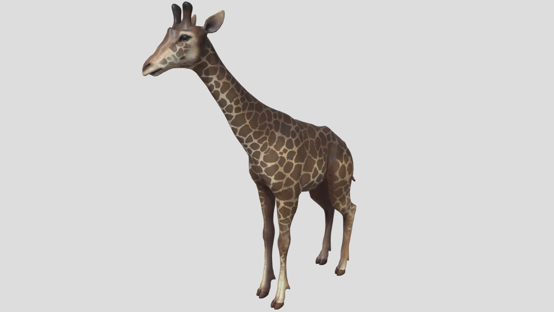 Game-Ready Realistic Rigged Giraffe - Buy Royalty Free 3D model by ...