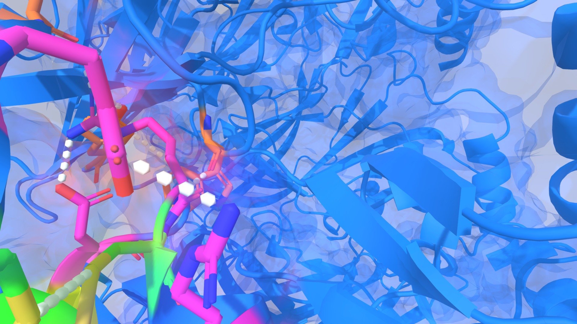a-conotoxin ImI model & interactions - 3D model by ellisrile [3cfd49b ...