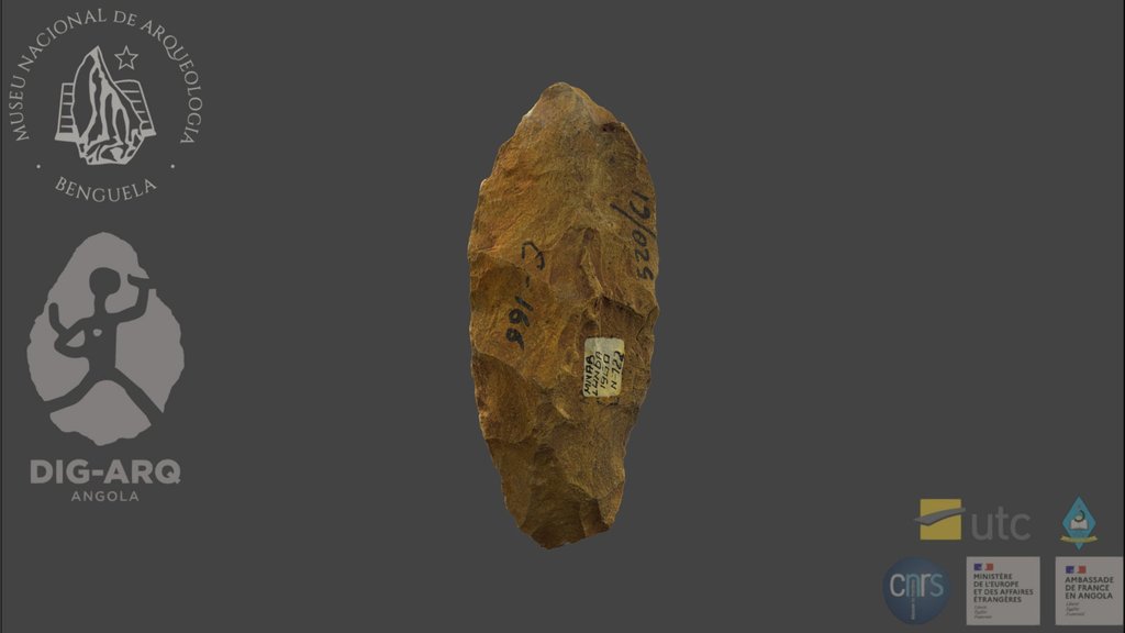prehistoric skulls - A 3D model collection by apshcom - Sketchfab