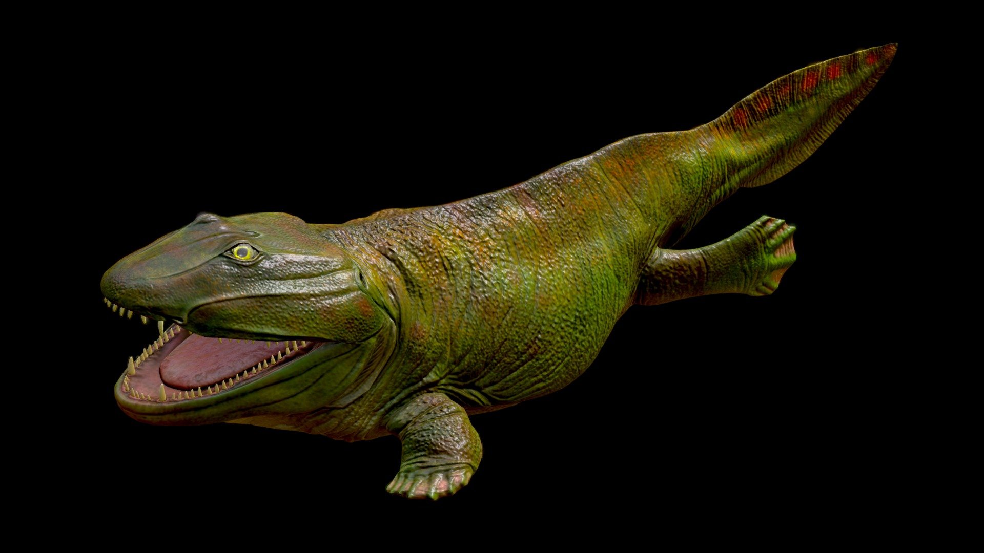 Ichthyostega - 3D model by RickStikkelorum (@ricksticky) [3d021ef] - Sketchfab