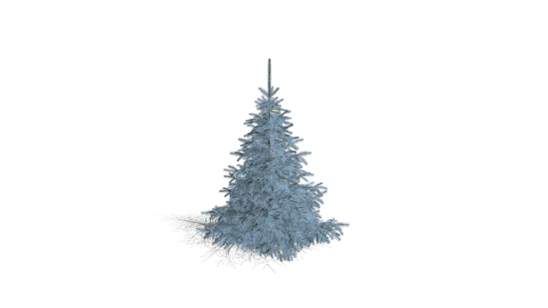 Realistic HD Colorado Blue spruce Koster (1/43) - Buy Royalty Free 3D ...