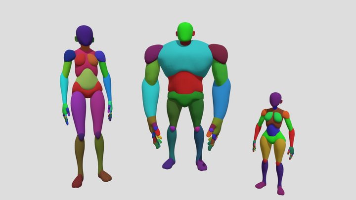 Proportions 3D models - Sketchfab