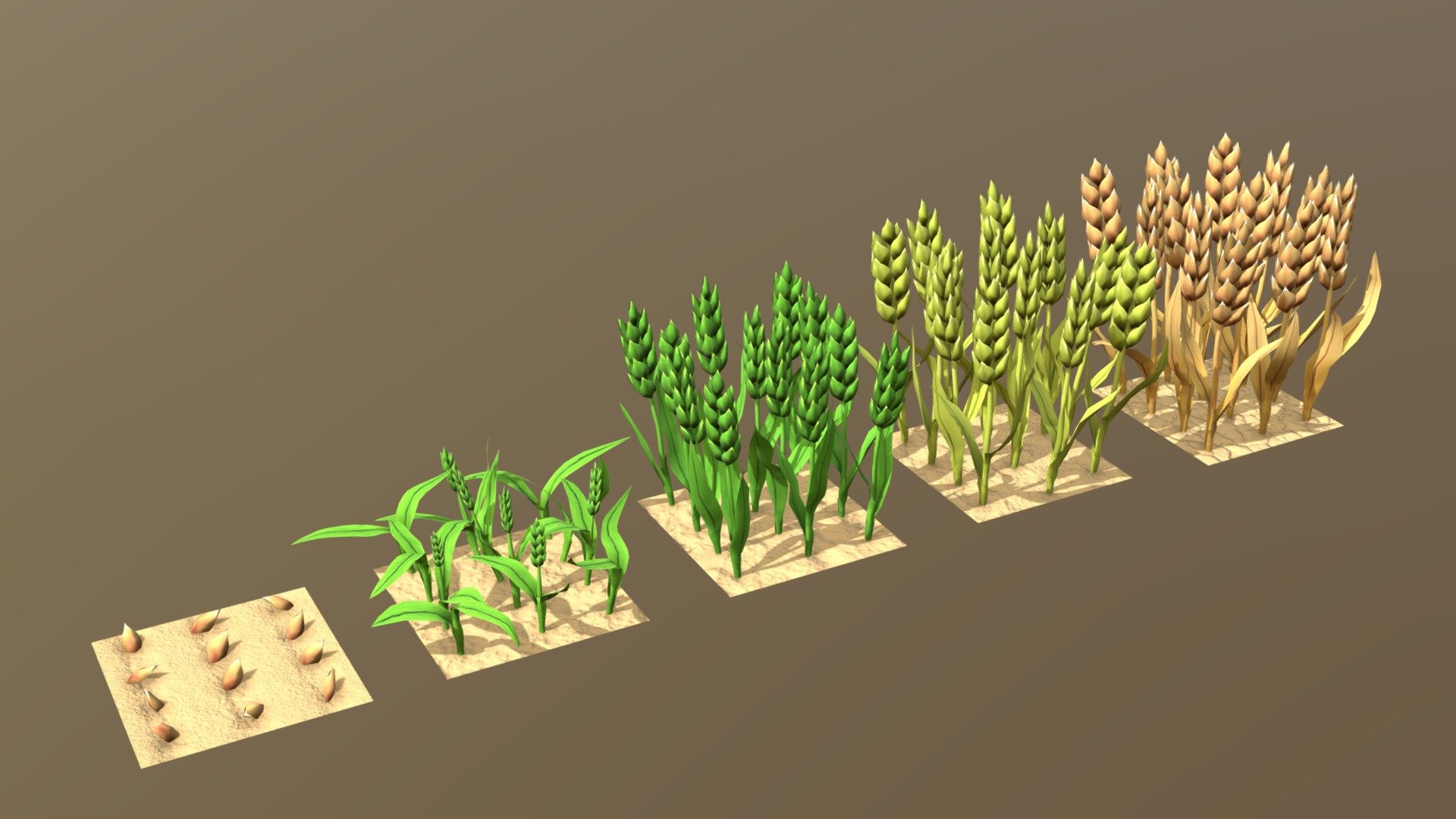 Barley Cartoon With Stages Of Grow, LowPoly - 3D model by Sanya Laneev ...