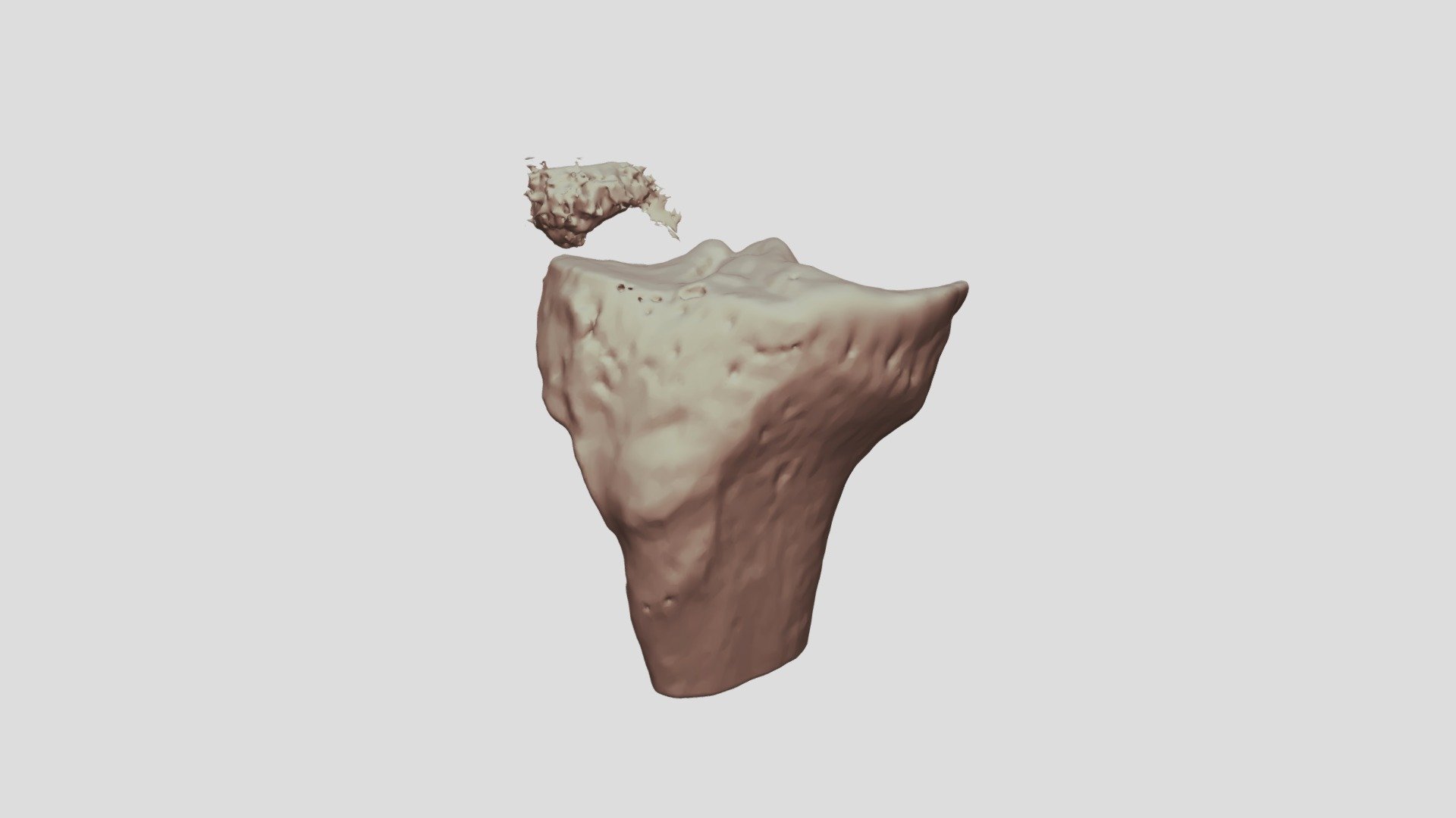 Tibia 2 - 3D model by fusi [3d255e5] - Sketchfab