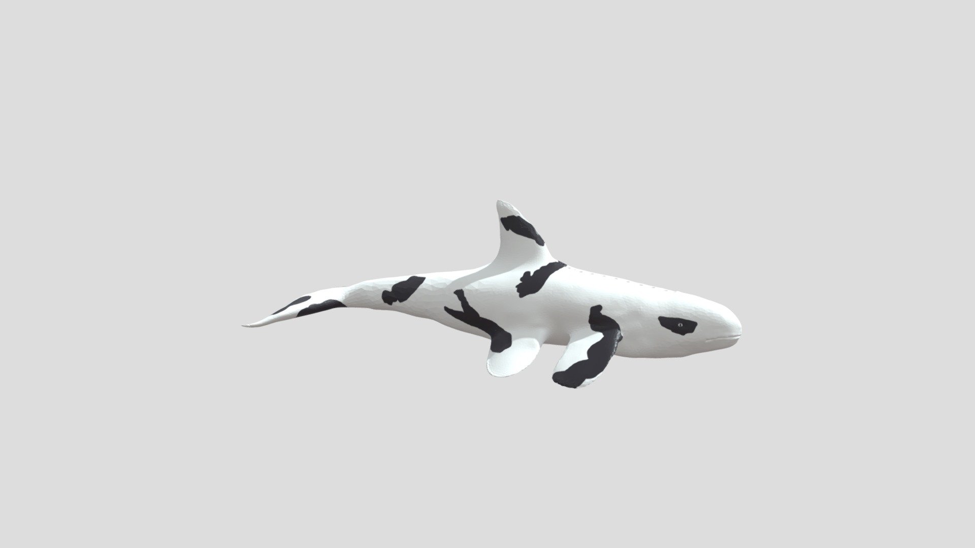 mutated whale model - 3D model by Tristan Carslake-Eade (@vector100 ...