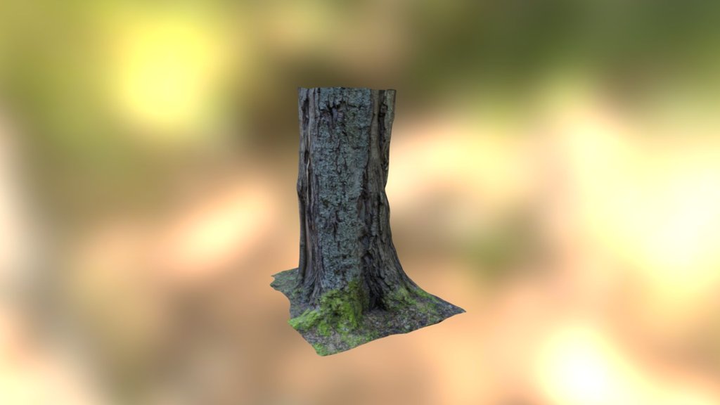 Lake Sam 2 - 3D model by wileyart [3d2b3c9] - Sketchfab