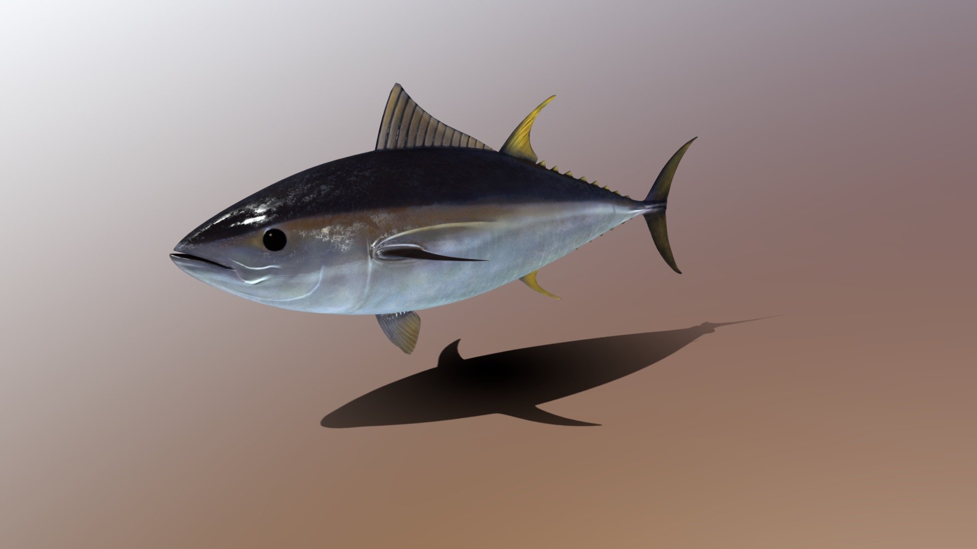 Bluefin Tuna Test - 3D model by spencerlindsay [3d2fa72] - Sketchfab