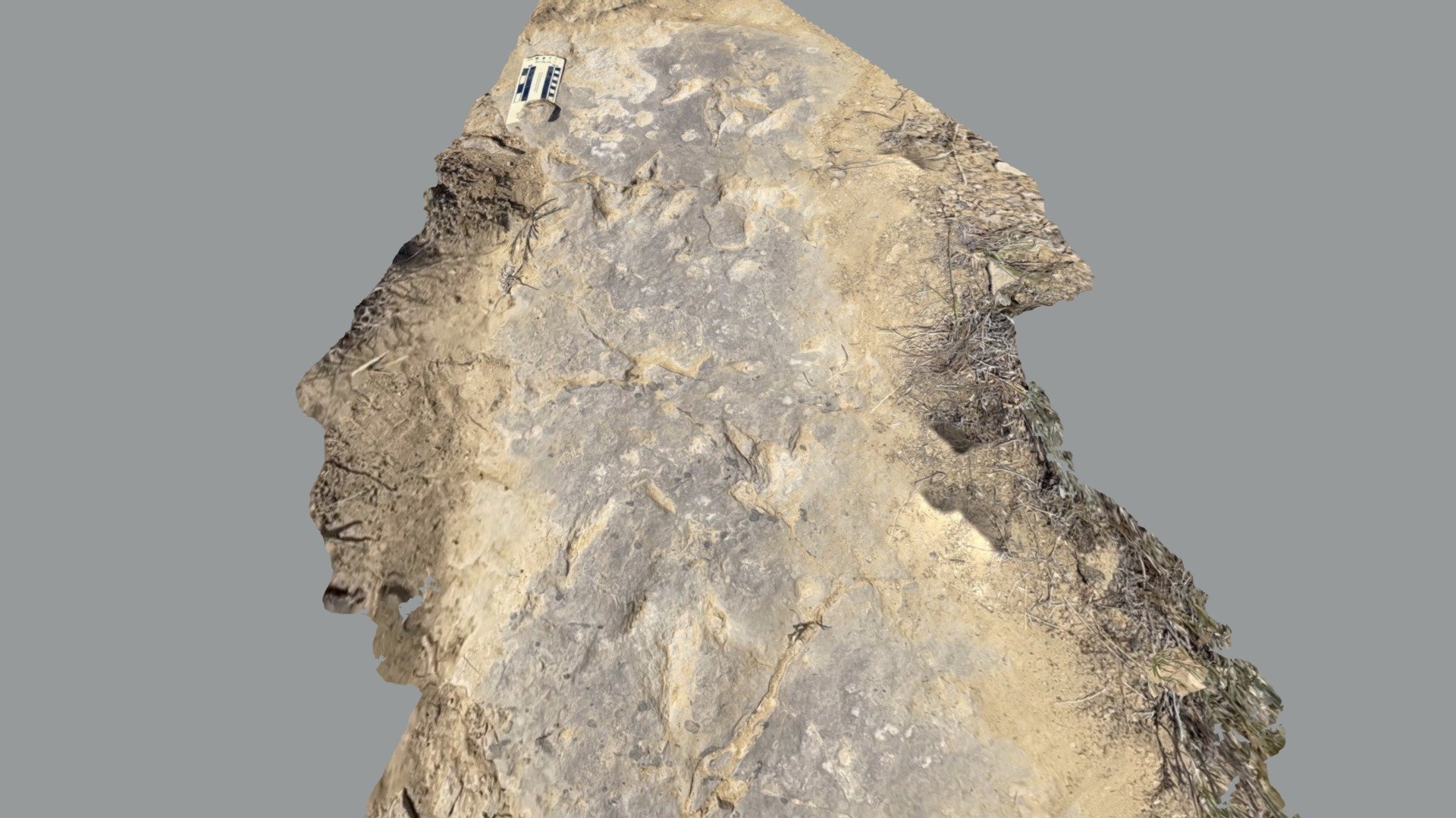 Dino Ridge Trackway 1 - Download Free 3D model by eblake19 [3d387e0 ...