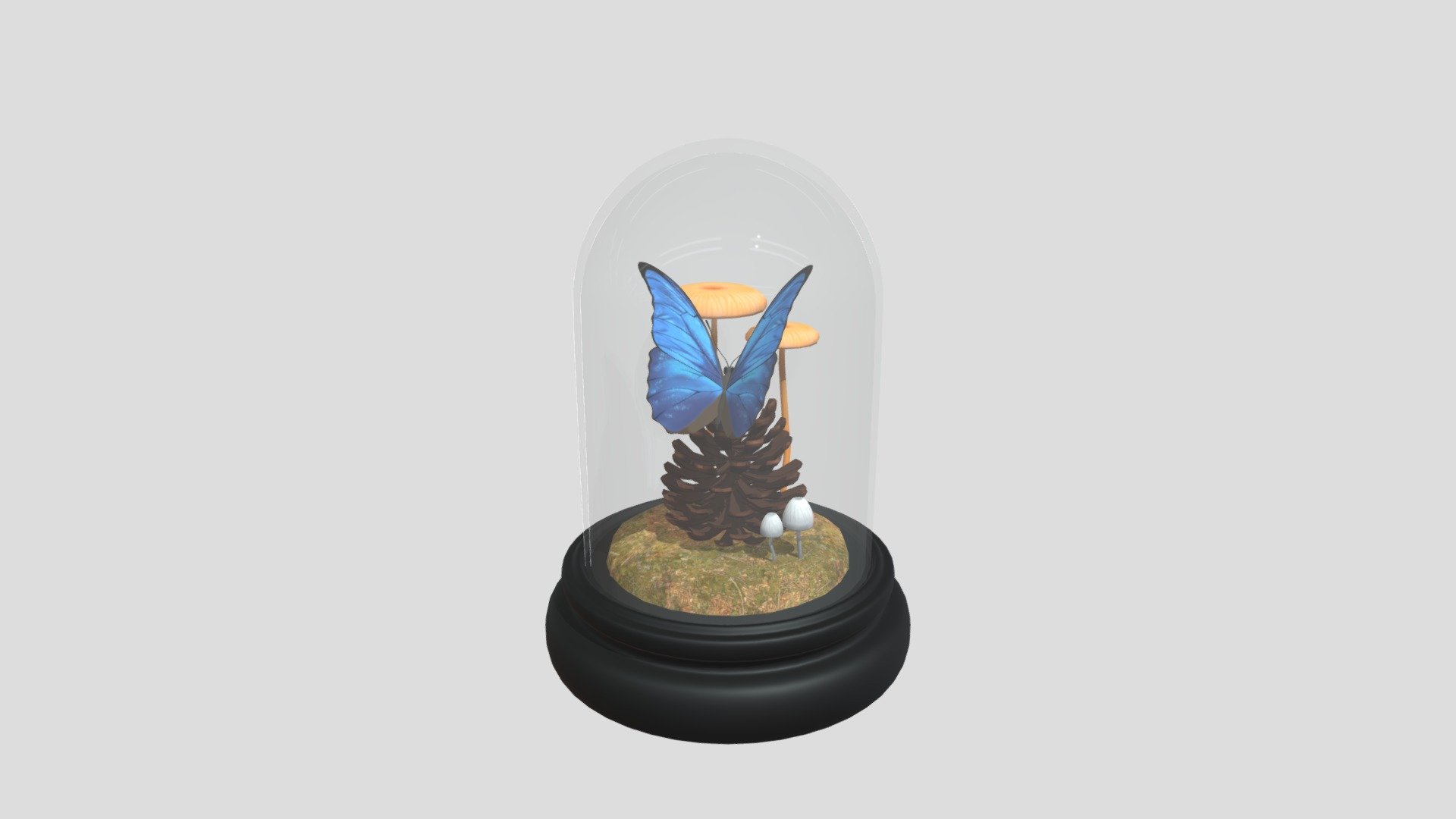Diorama of Morpho butterfly - 3D model by Qween (@QweenH) [3d3c89d ...