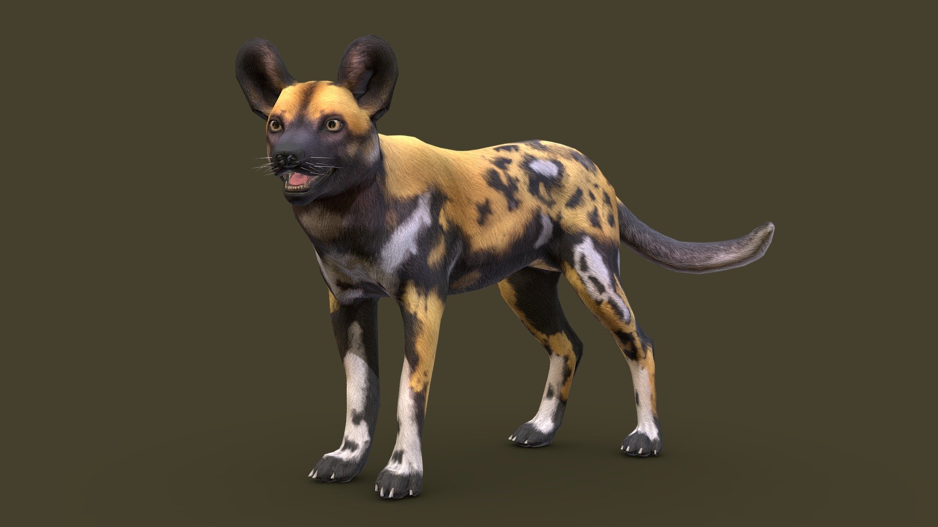 Lycaon - 3D model by RedDeer (@billl90) [3d4129c] - Sketchfab