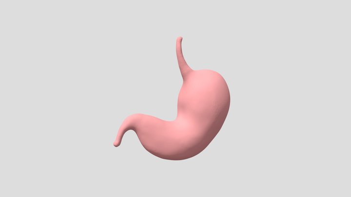 Lambung 3D models - Sketchfab