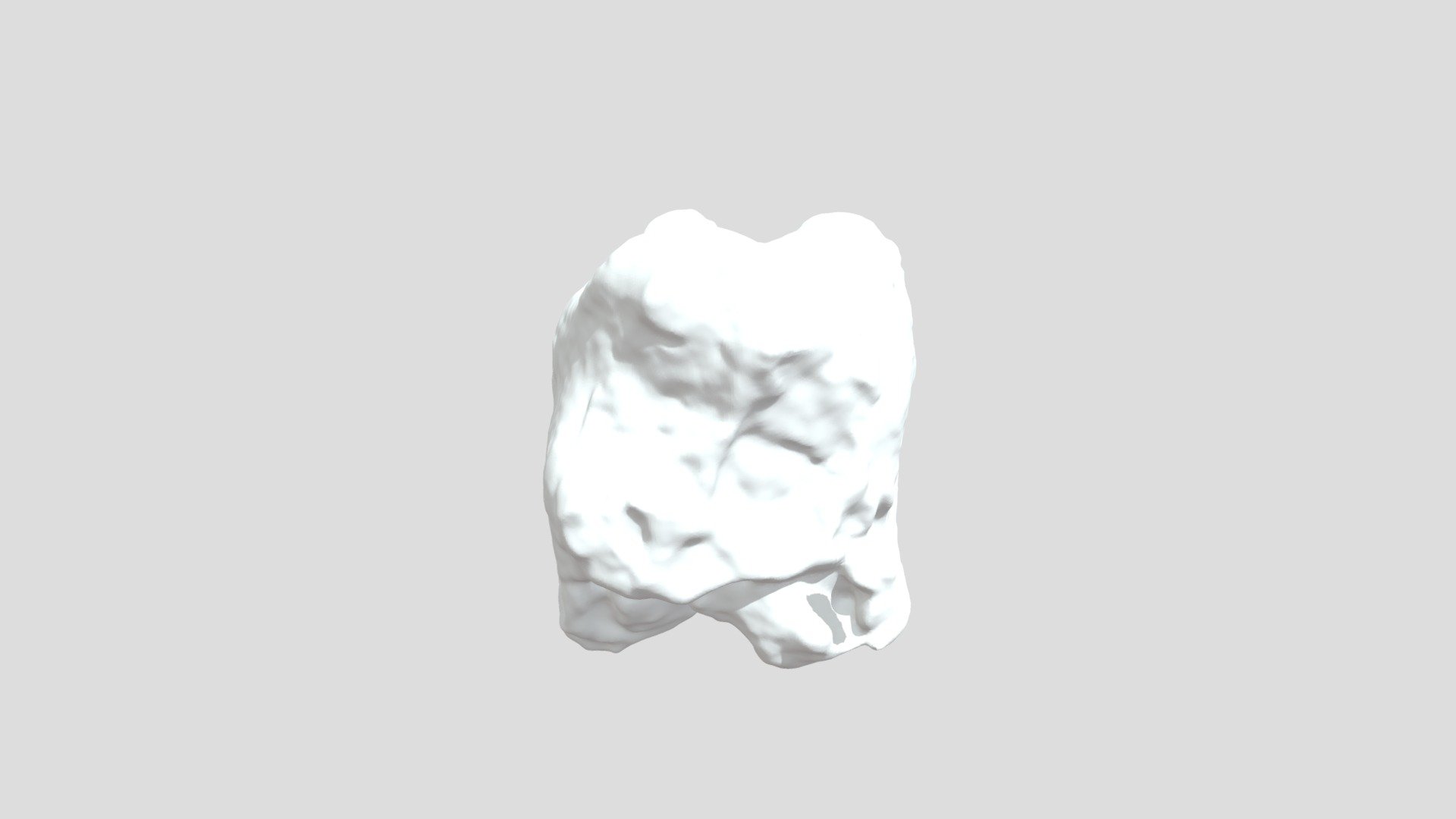WSC8934 Scaphohippus sumani molar - Download Free 3D model by ...