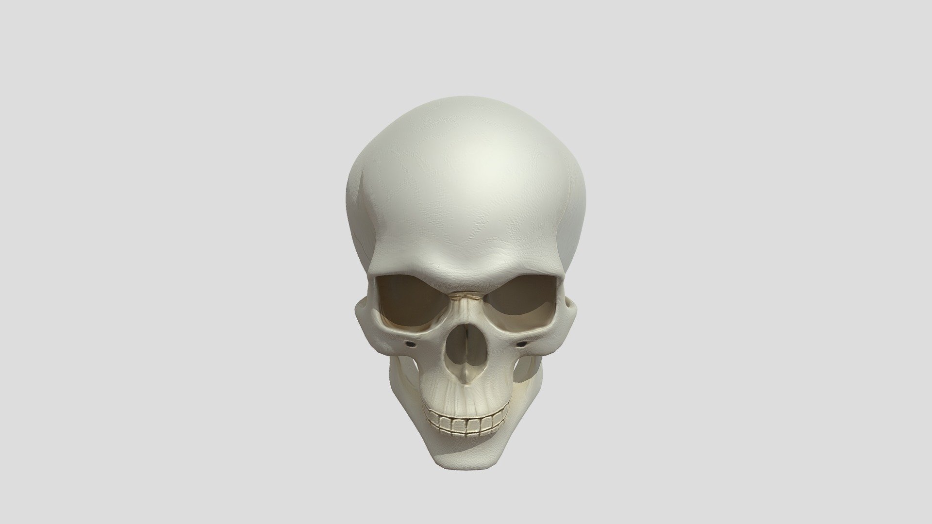 Low Poly Human Skull - 3D model by PolyPlex (@polypl3x) [3d50483 ...
