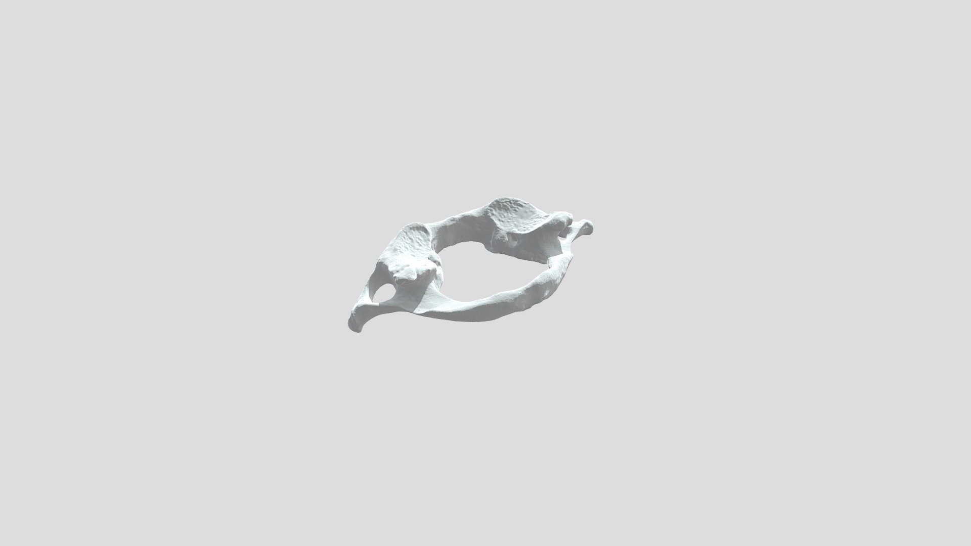 C1 - 3D model by kucharm [3d5c661] - Sketchfab