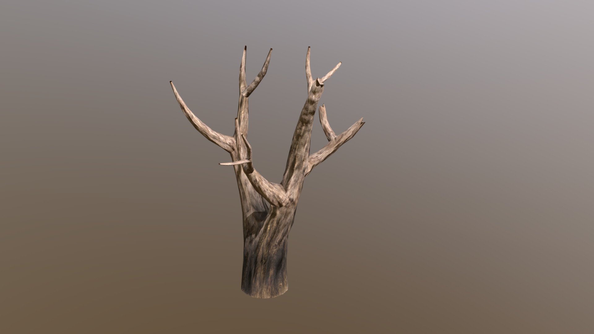Low Poly Dead Tree 05 - 3D model by aaanimators [3d66df1] - Sketchfab