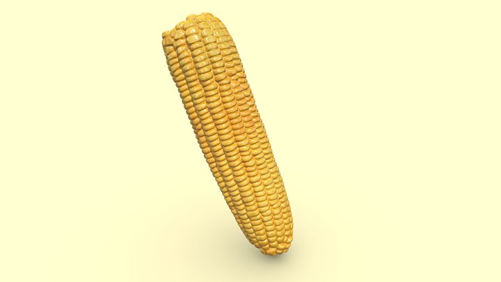 Corn 3D models - Sketchfab
