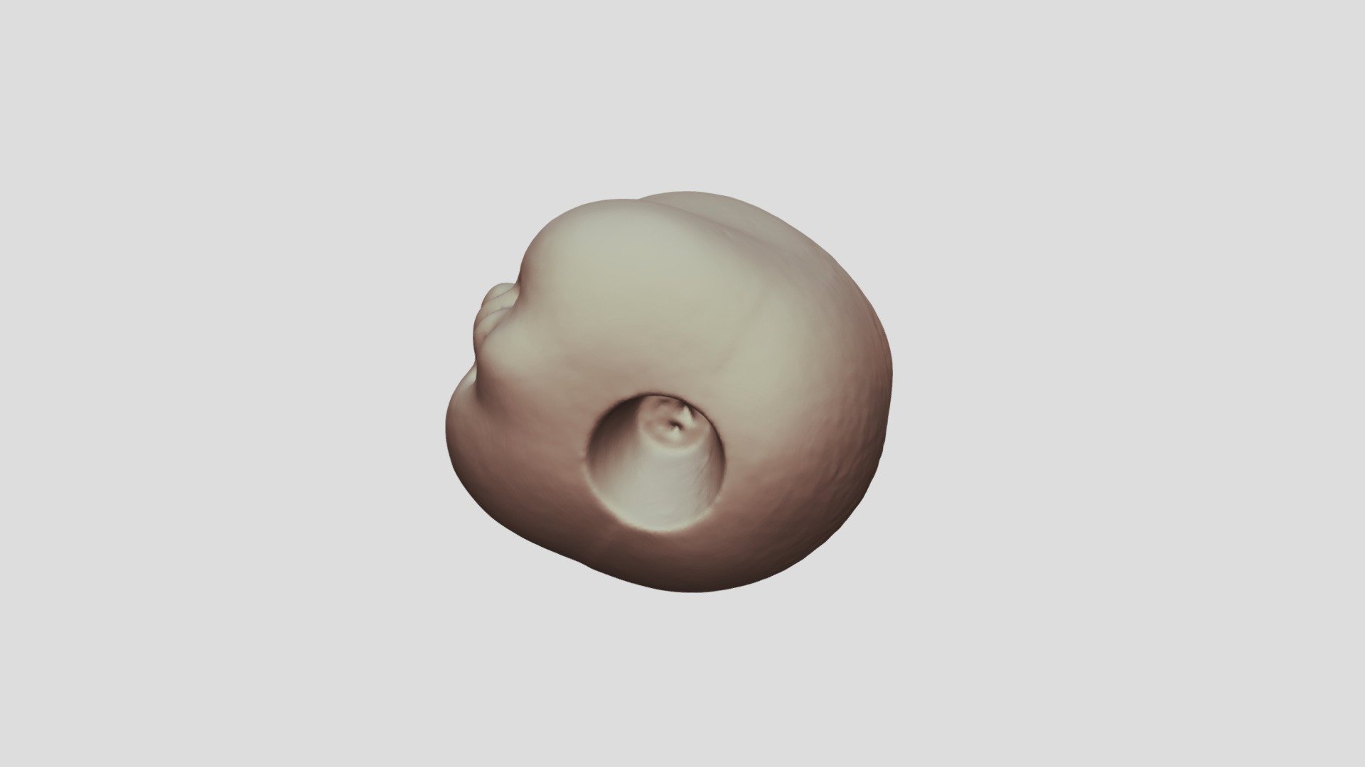 Doll head scanned by Revopoint POP 2 - 3D model by shortreportme ...