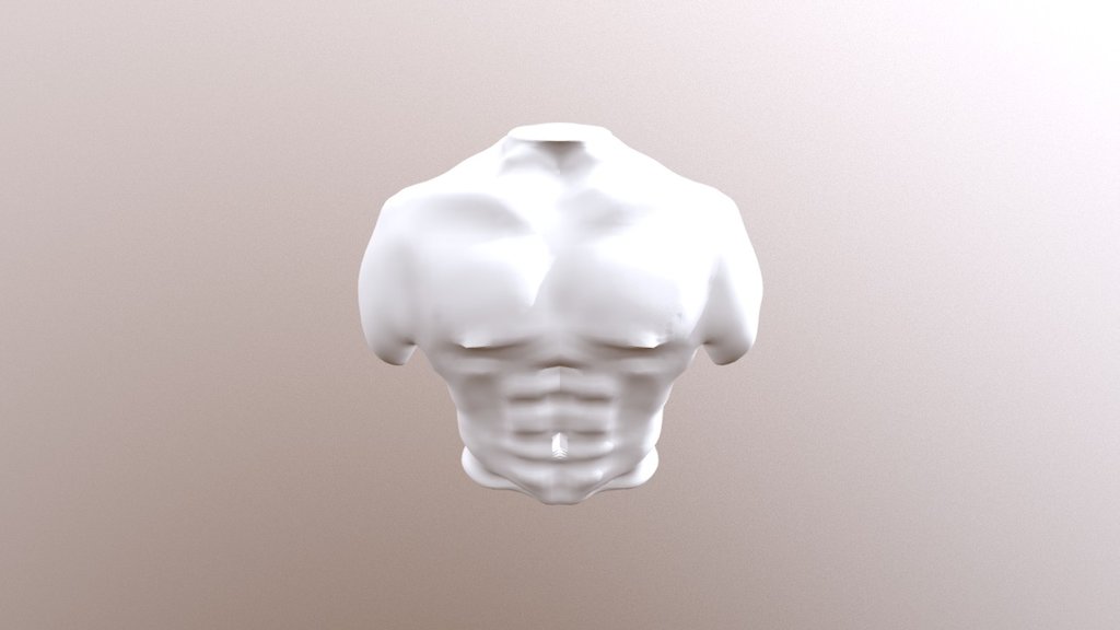 Torso - 3D model by donnelune [3d6e152] - Sketchfab