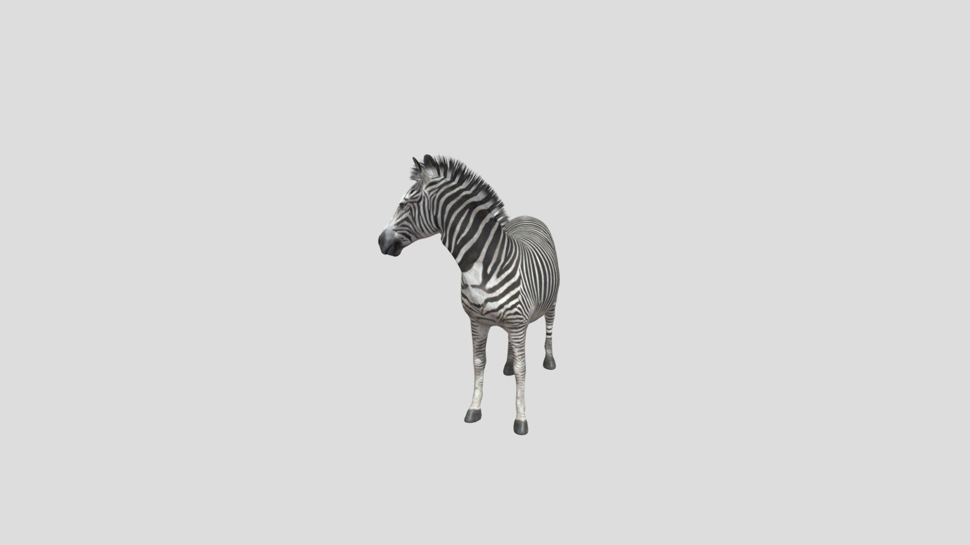 Zebra - Download Free 3D model by micsir [3d6e29c] - Sketchfab