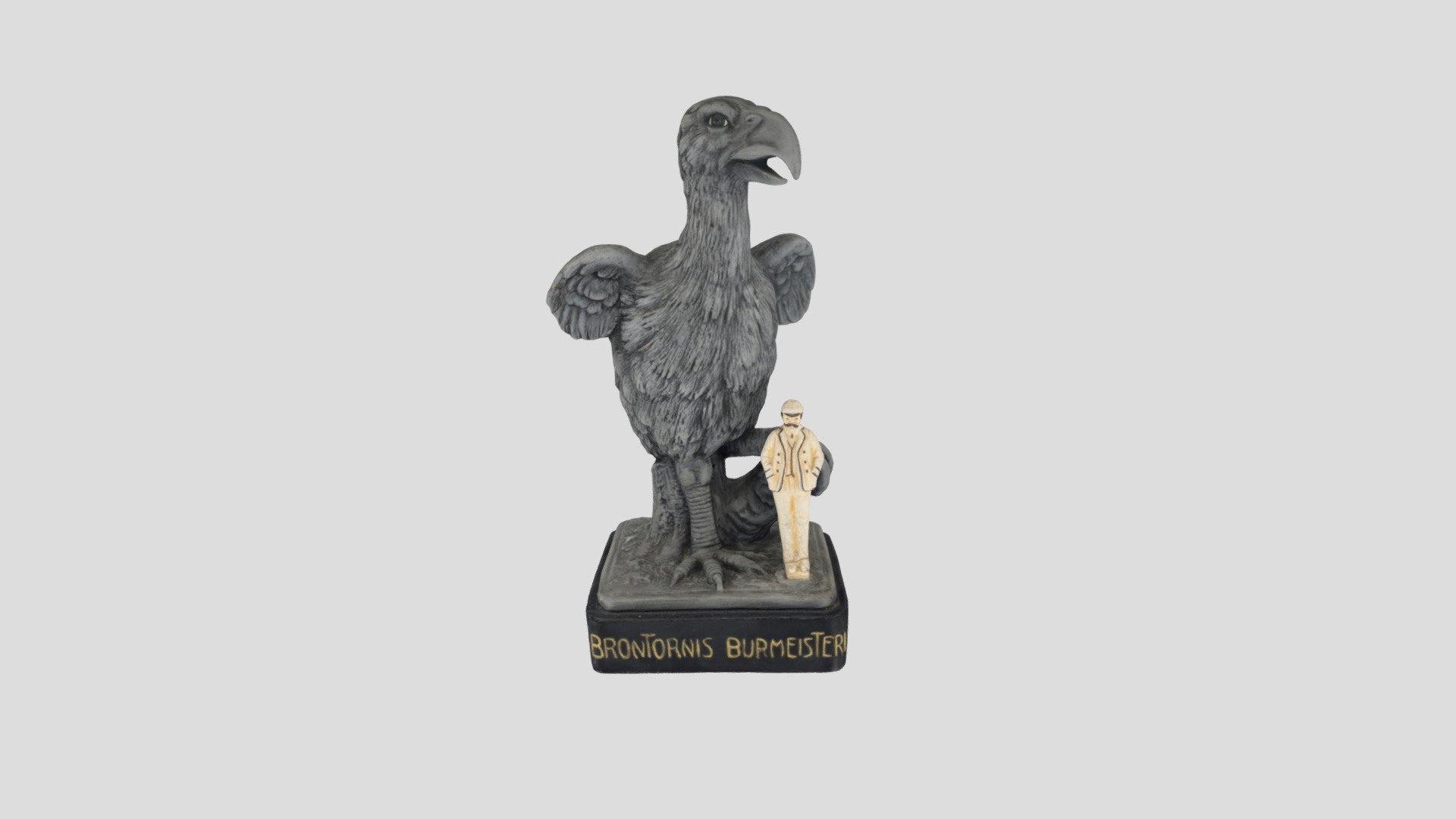 Brontornis burmeisteri - 3D model by SMA-UniGe [3d711ea] - Sketchfab