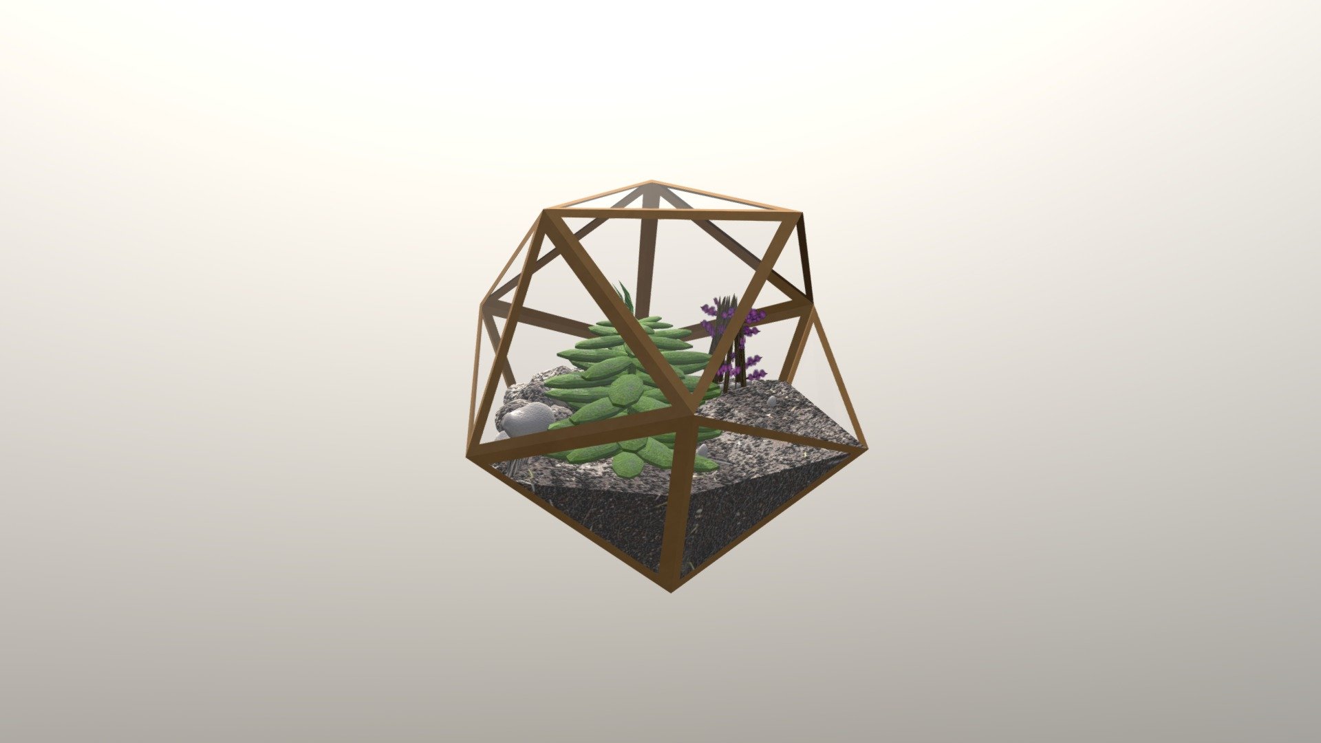 Terrarium Plant - 3D model by shannonaker [3d718ae] - Sketchfab