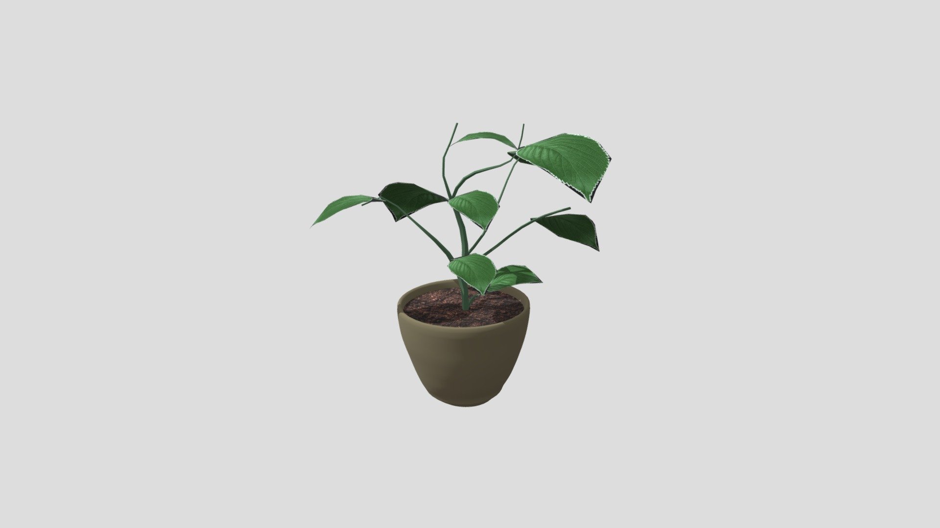 Plants - Download Free 3D model by Chrispy22 [3d72879] - Sketchfab