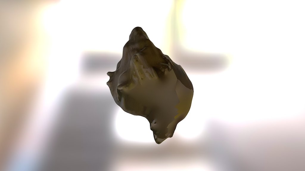 Practice Model2 Shell - 3D model by knogueras [3d895ab] - Sketchfab
